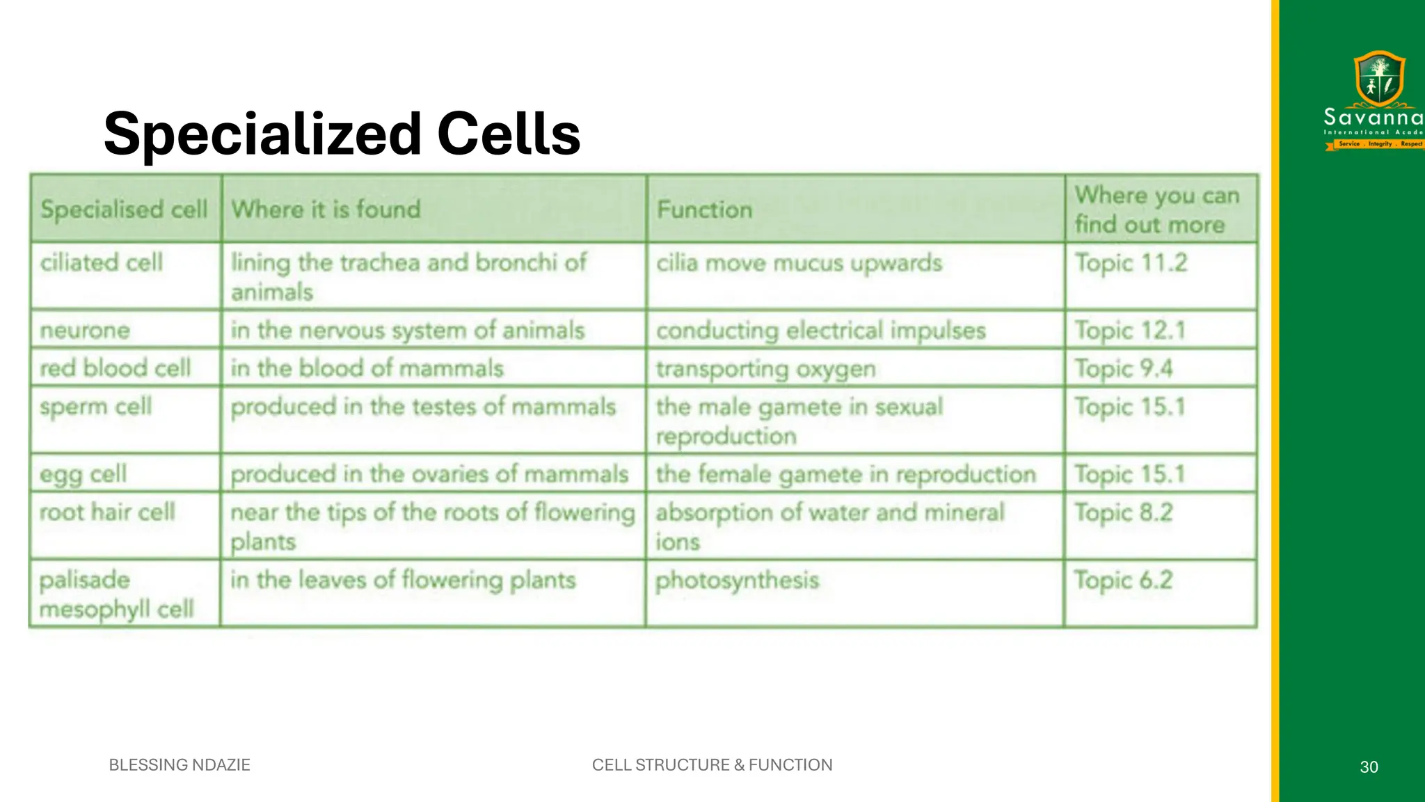 Cell Structure & Function | Cambridge IGCSE Biology | PDF