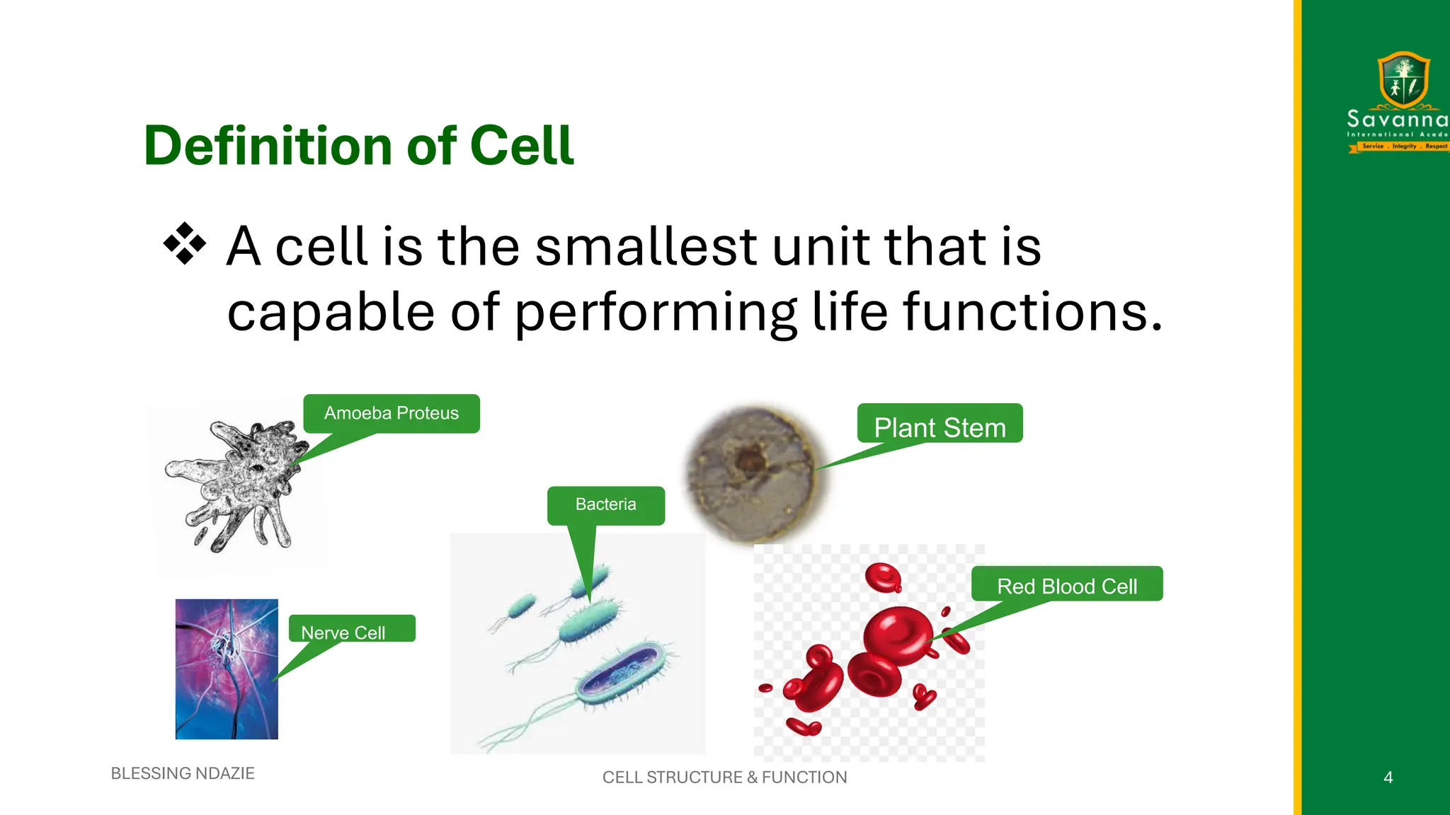 Cell Structure & Function | Cambridge IGCSE Biology | PDF