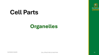 Cell Structure & Function | Cambridge IGCSE Biology | PDF