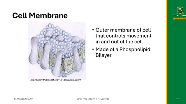 Cell Structure & Function | Cambridge IGCSE Biology | PDF