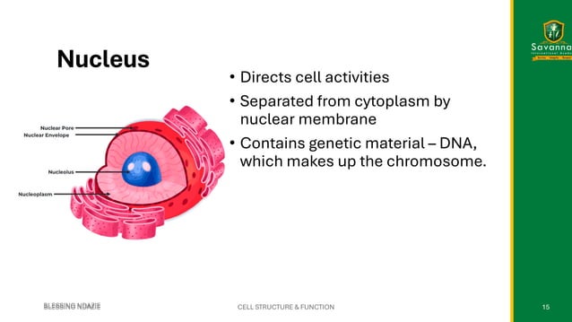 Cell Structure & Function | Cambridge IGCSE Biology | PDF