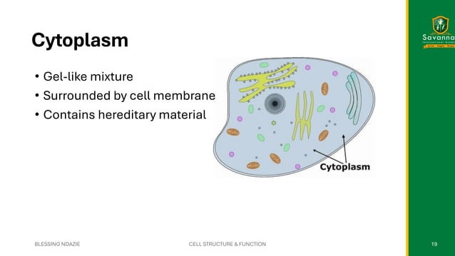 Cell Structure & Function | Cambridge IGCSE Biology | PDF