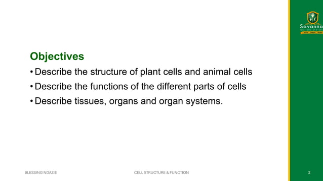 Cell Structure & Function | Cambridge IGCSE Biology | PDF