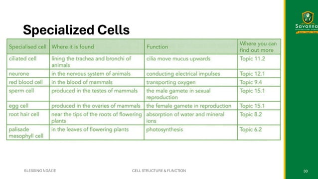 Cell Structure & Function | Cambridge IGCSE Biology | PDF