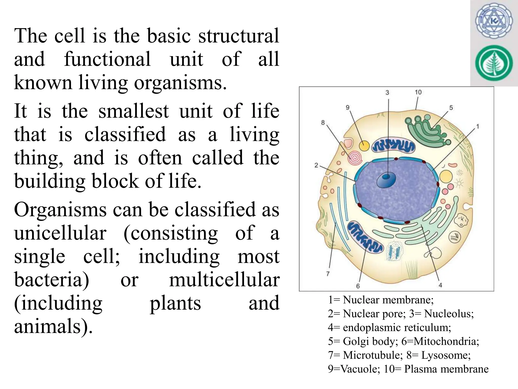 Cell :Structure & Functions for Medical and Health allied Students | PPTX