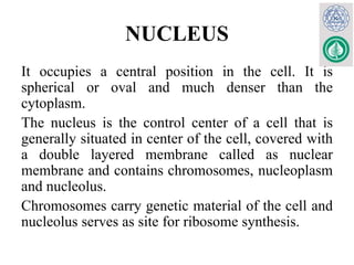 Cell :Structure & Functions for Medical and Health allied Students | PPTX