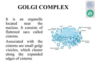 Cell :Structure & Functions for Medical and Health allied Students | PPTX