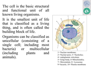Cell :Structure & Functions for Medical and Health allied Students | PPTX