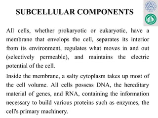 Cell :Structure & Functions for Medical and Health allied Students | PPT