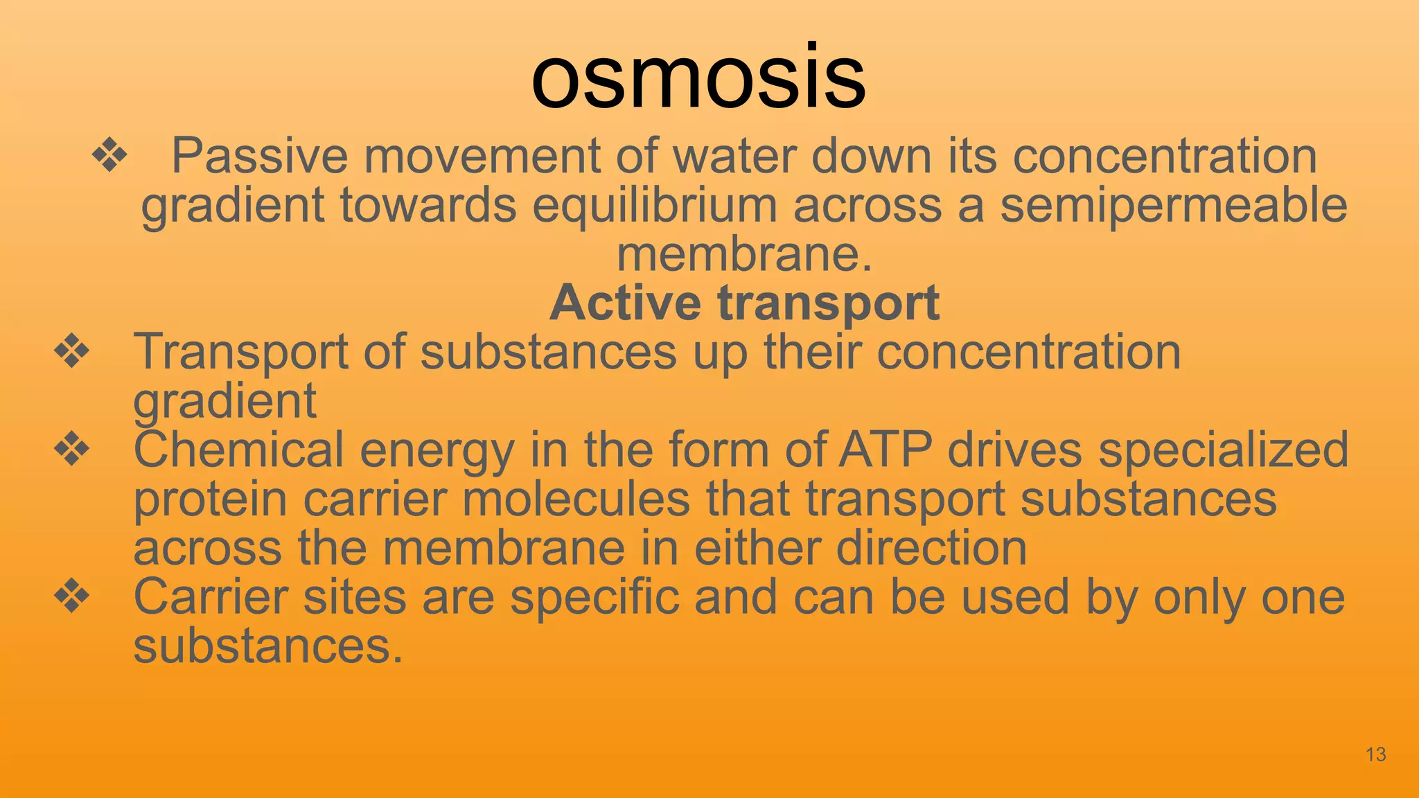 Cell structure,functions,organelles | PPT