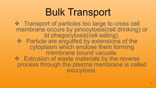 Cell structure,functions,organelles | PDF