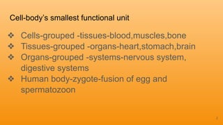 Cell structure,functions,organelles | PPT