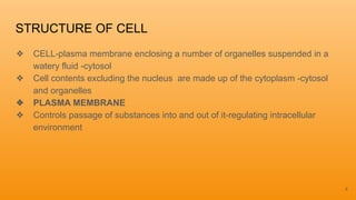Cell structure,functions,organelles | PPT
