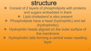Cell structure,functions,organelles | PPT