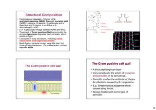 Cell structure I 2011 [Compatibility Mode].pdf