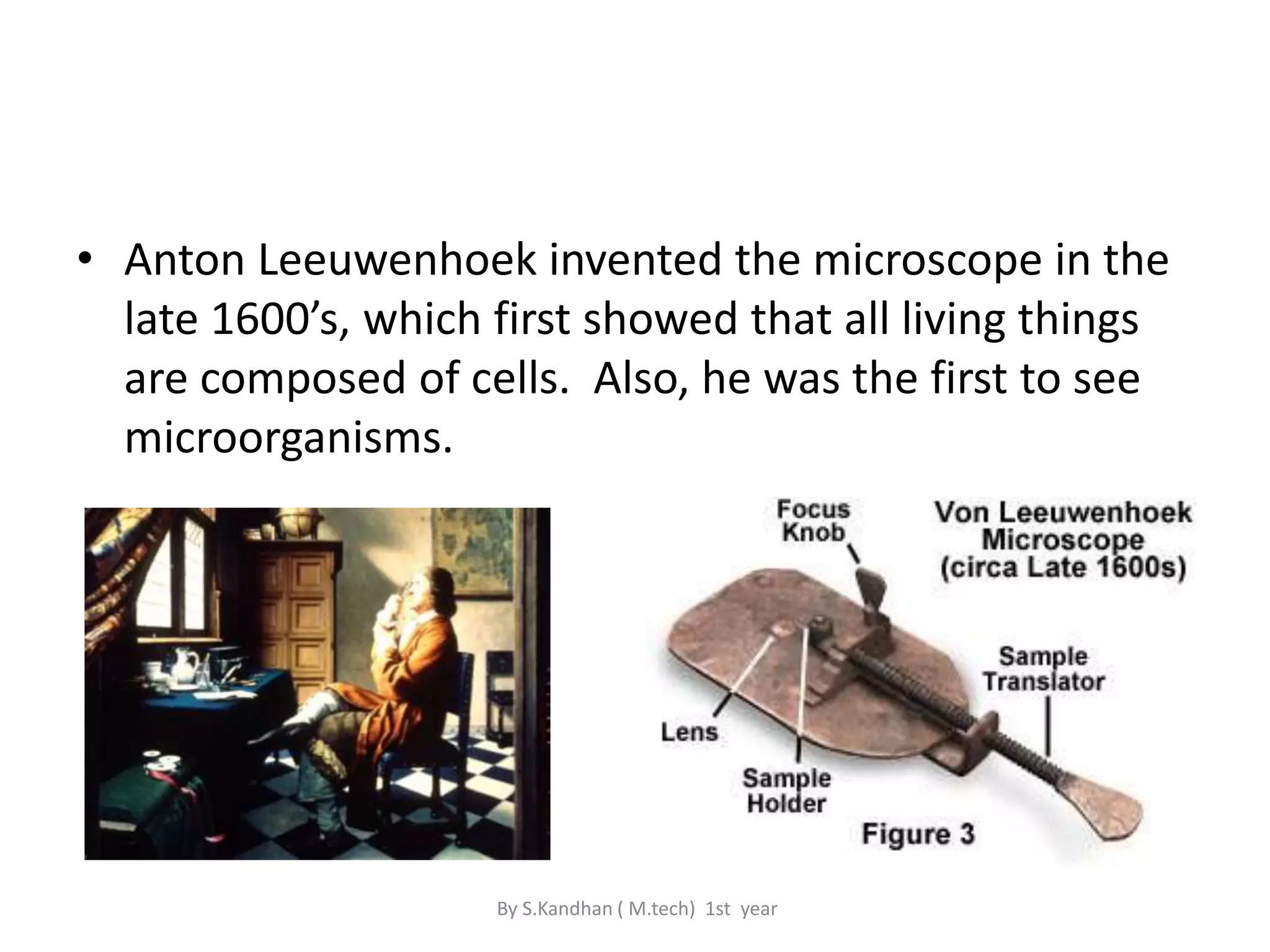 Cell structure & its organisation | PPTX