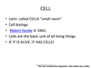 Cell structure & its organisation | PPTX