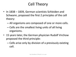 Cell structure & its organisation | PPTX