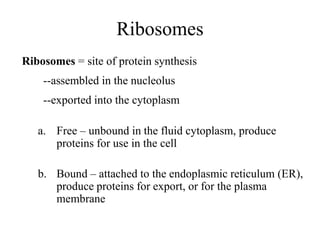 Cell Structure Lecture.ppt