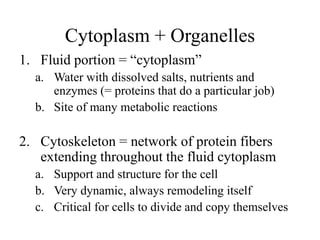 Cell Structure Lecture.ppt