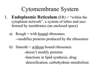 Cell Structure Lecture.ppt