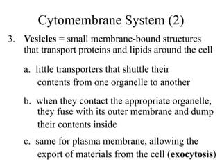 Cell Structure Lecture.ppt