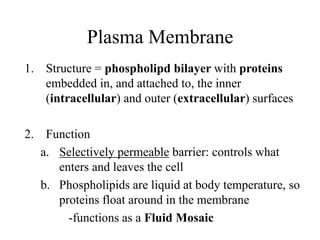 Cell Structure Lecture.ppt