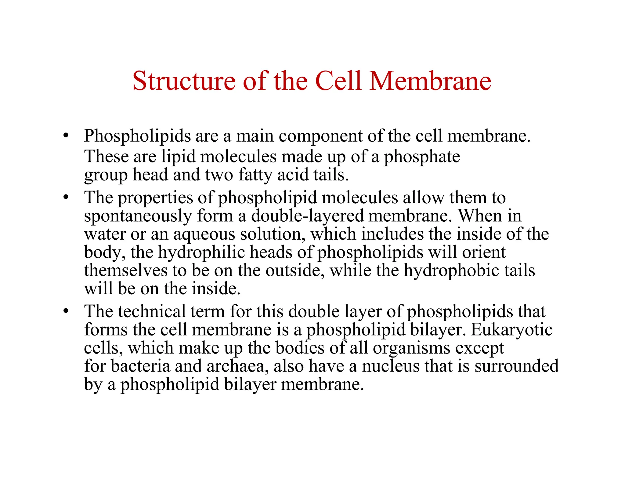 cell structure and cell membrain // cell | PPT