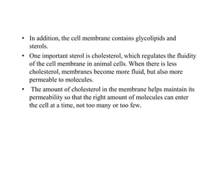 cell structure and cell membrain // cell | PPT