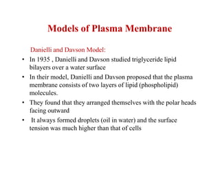 cell structure and cell membrain // cell | PPT