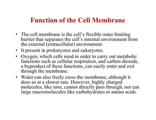 cell structure and cell membrain // cell | PPT
