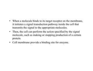 cell structure and cell membrain // cell | PPTX