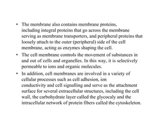 cell structure and cell membrain // cell | PPT