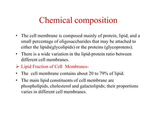 cell structure and cell membrain // cell | PPT