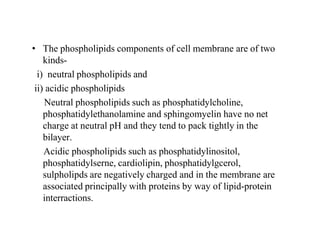 cell structure and cell membrain // cell | PPT