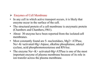 cell structure and cell membrain // cell | PPT