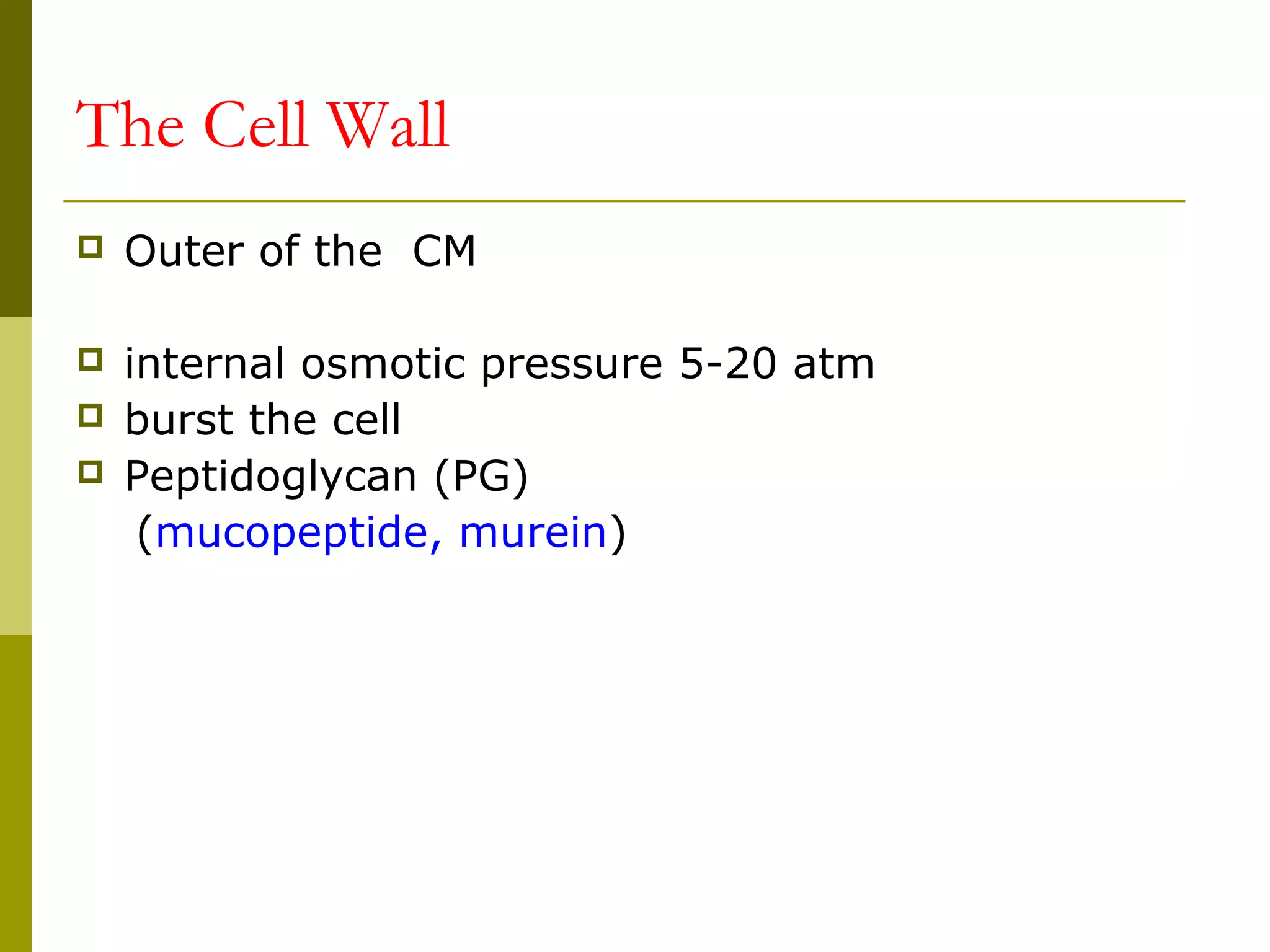 (Cell structure ) mf | PPT