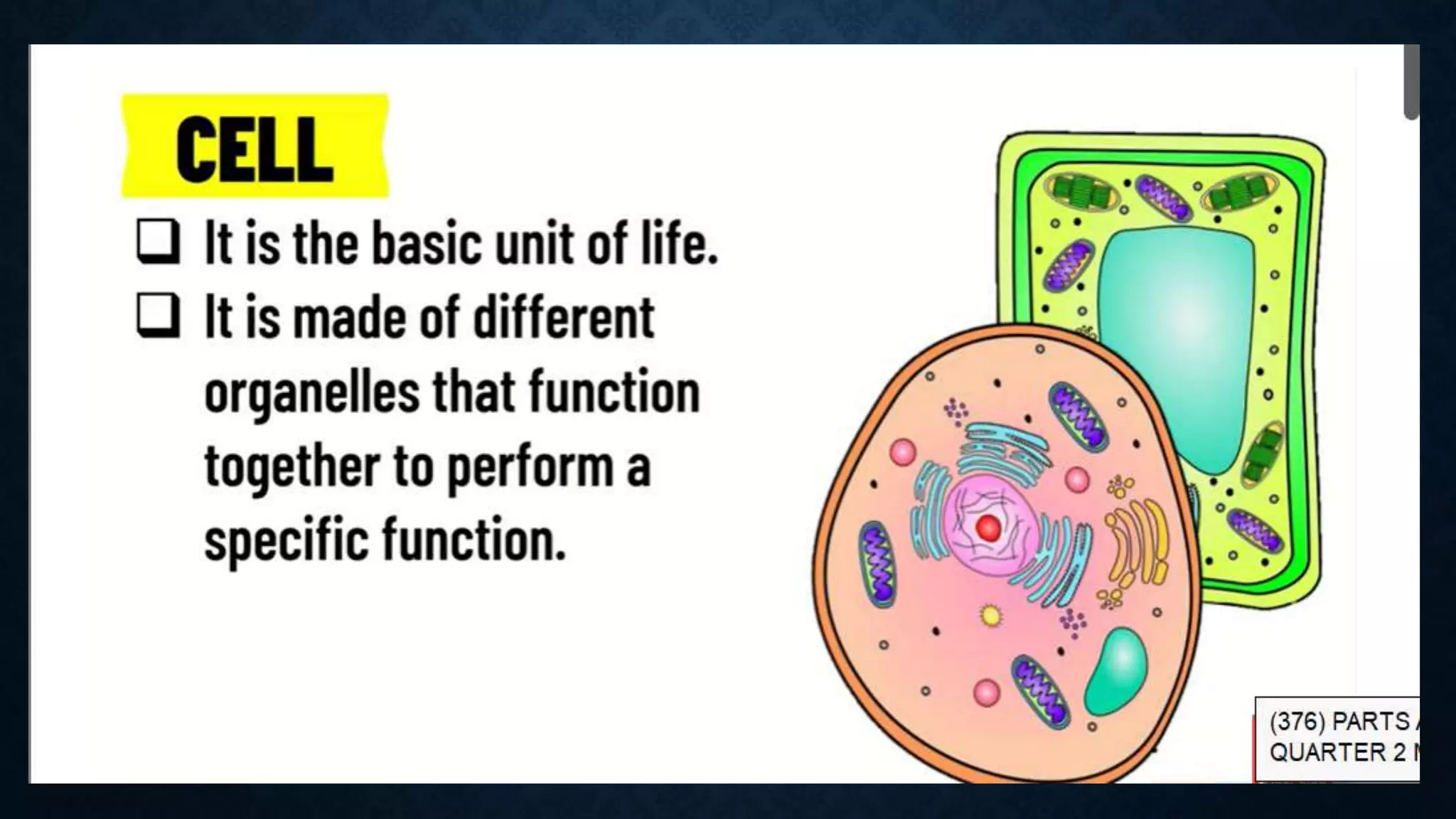 cell structure nd functions.pptx