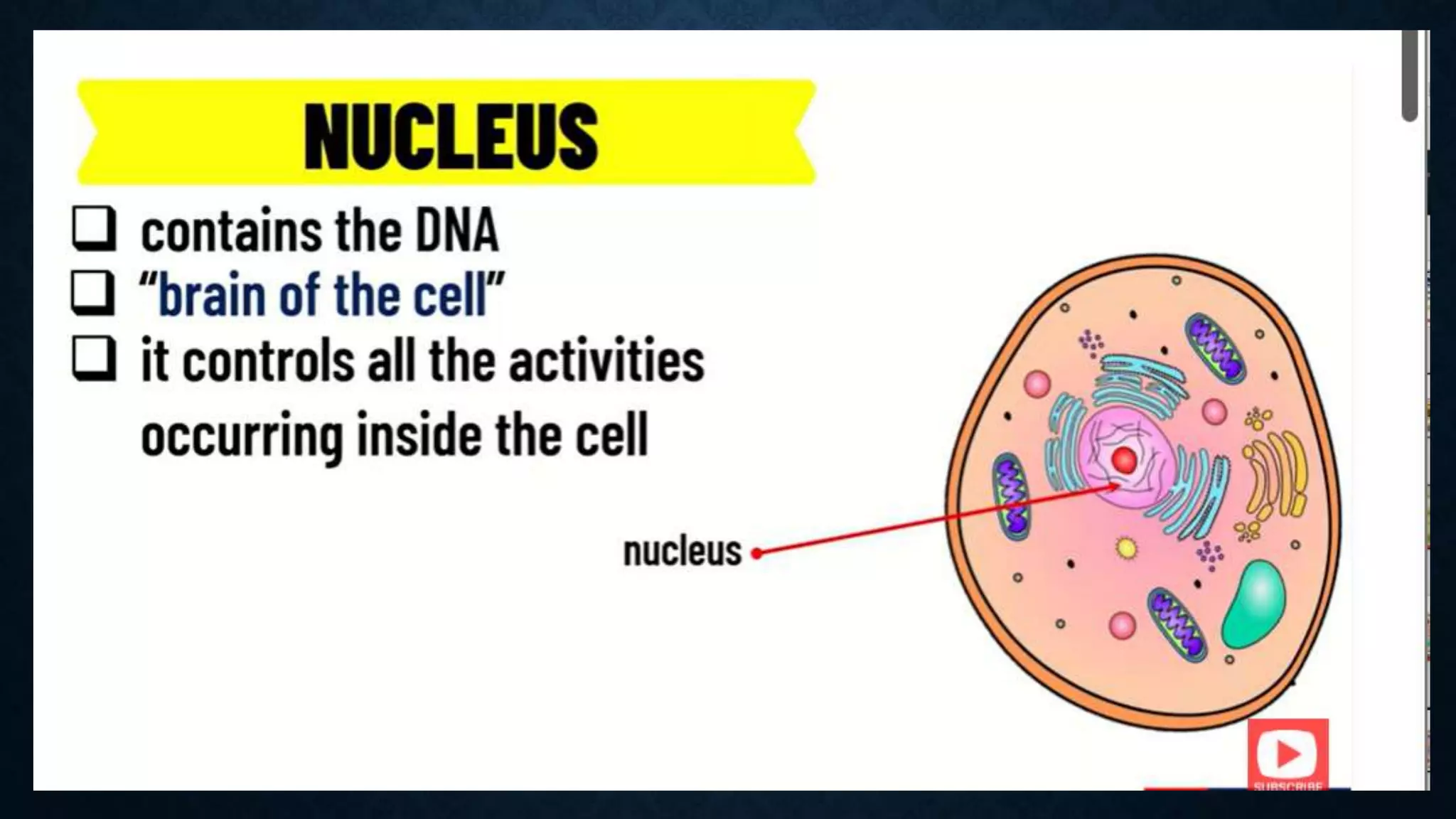 cell structure nd functions.pptx