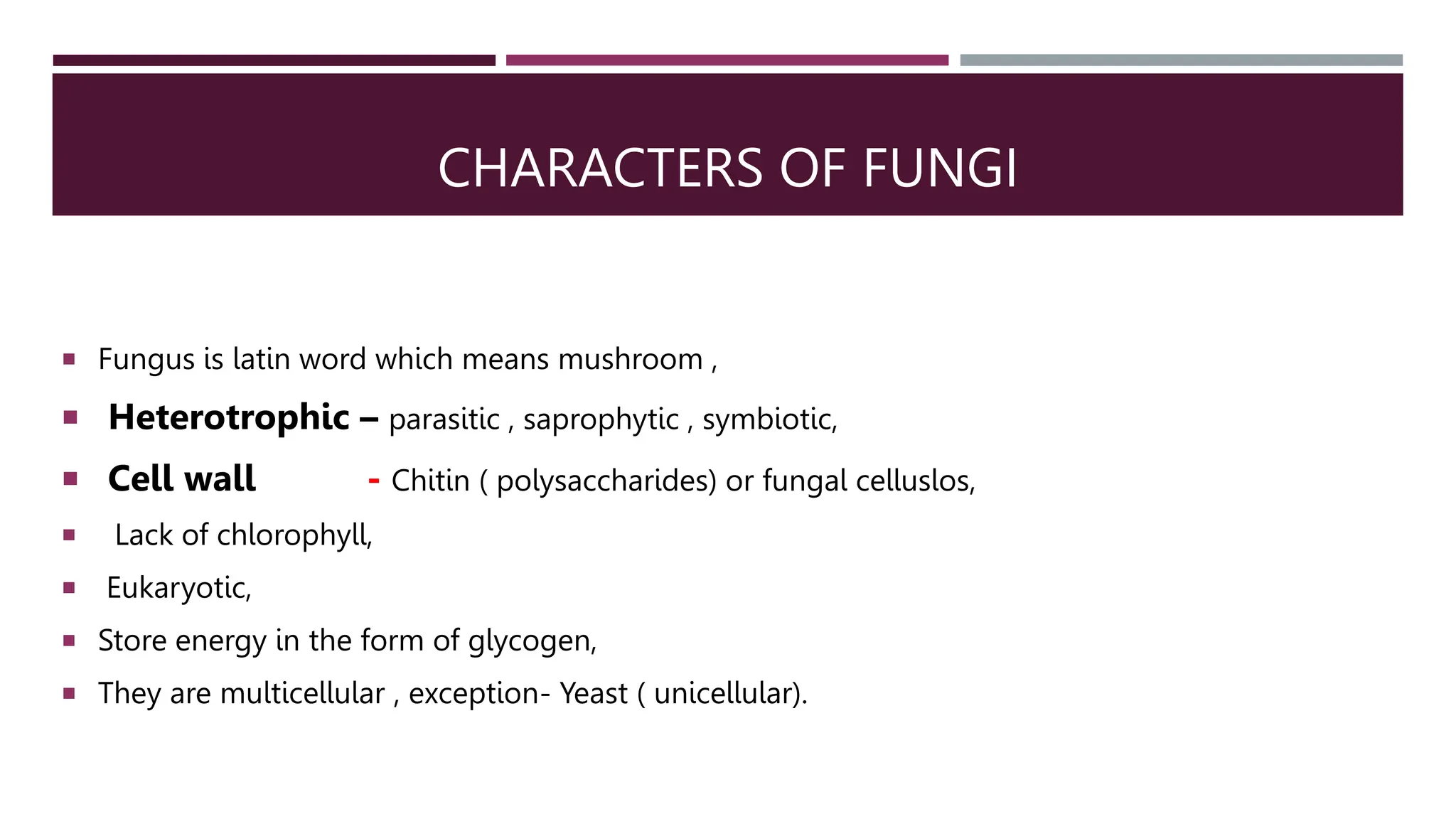 cell Structure of fungi unicellular and multicellular | PPTX