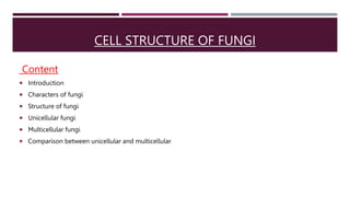 cell Structure of fungi unicellular and multicellular | PPTX