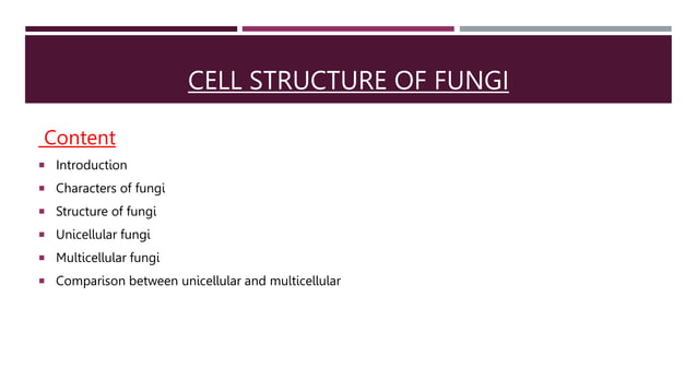 cell Structure of fungi unicellular and multicellular | PPTX