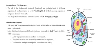 Cell Structure & Organelles in detailed. | PPTX