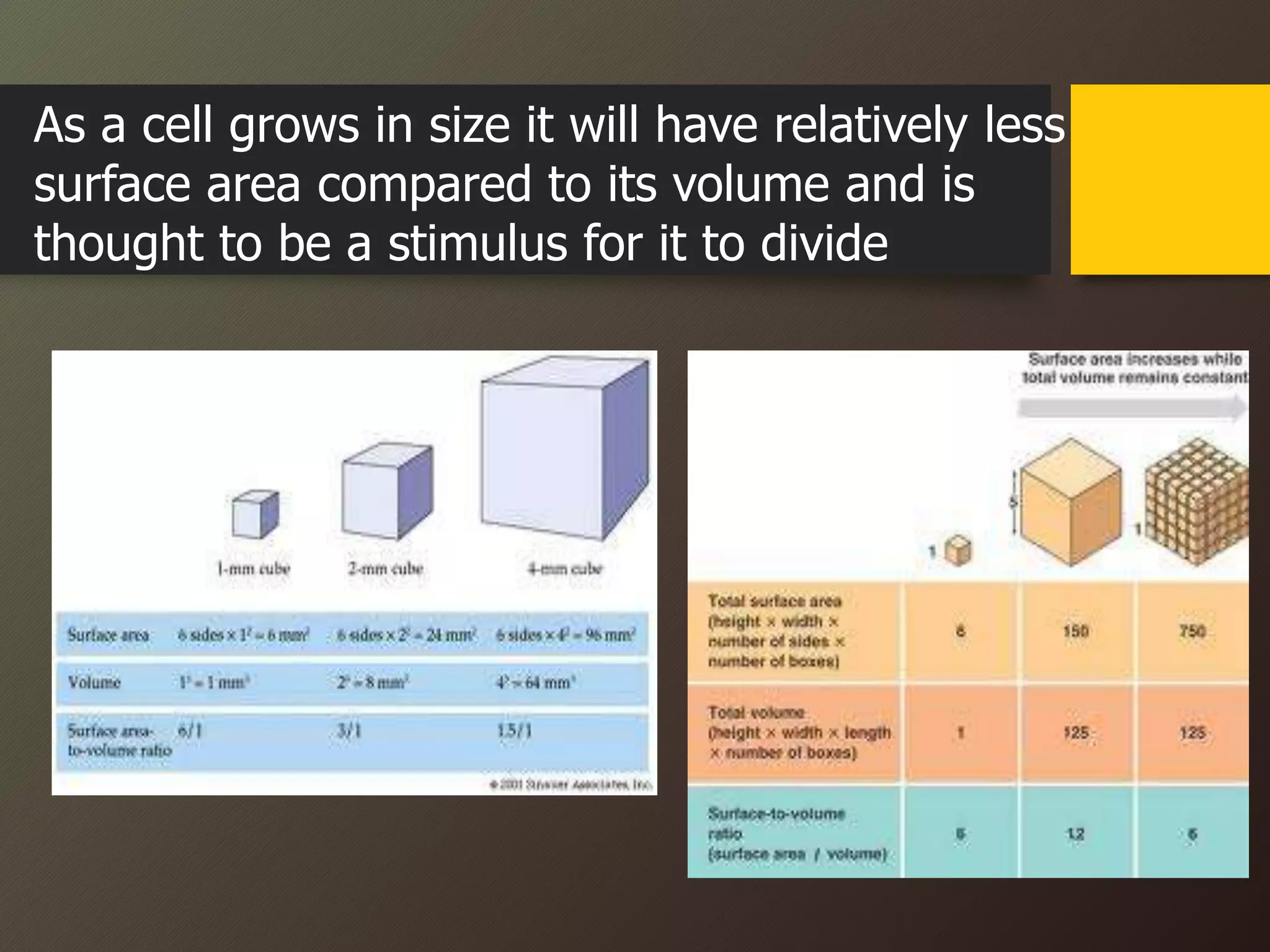Cell structure & organisation | PPTX