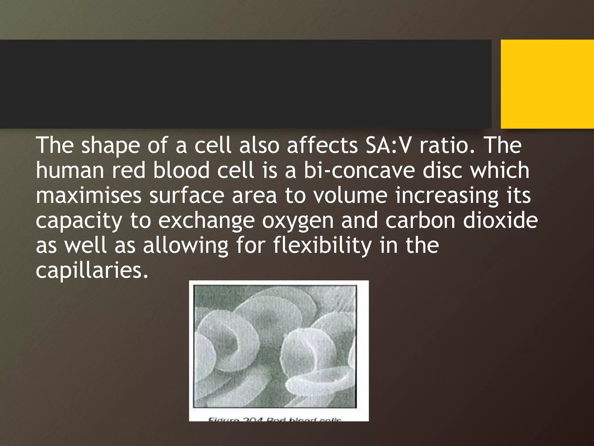 Cell structure & organisation | PPTX