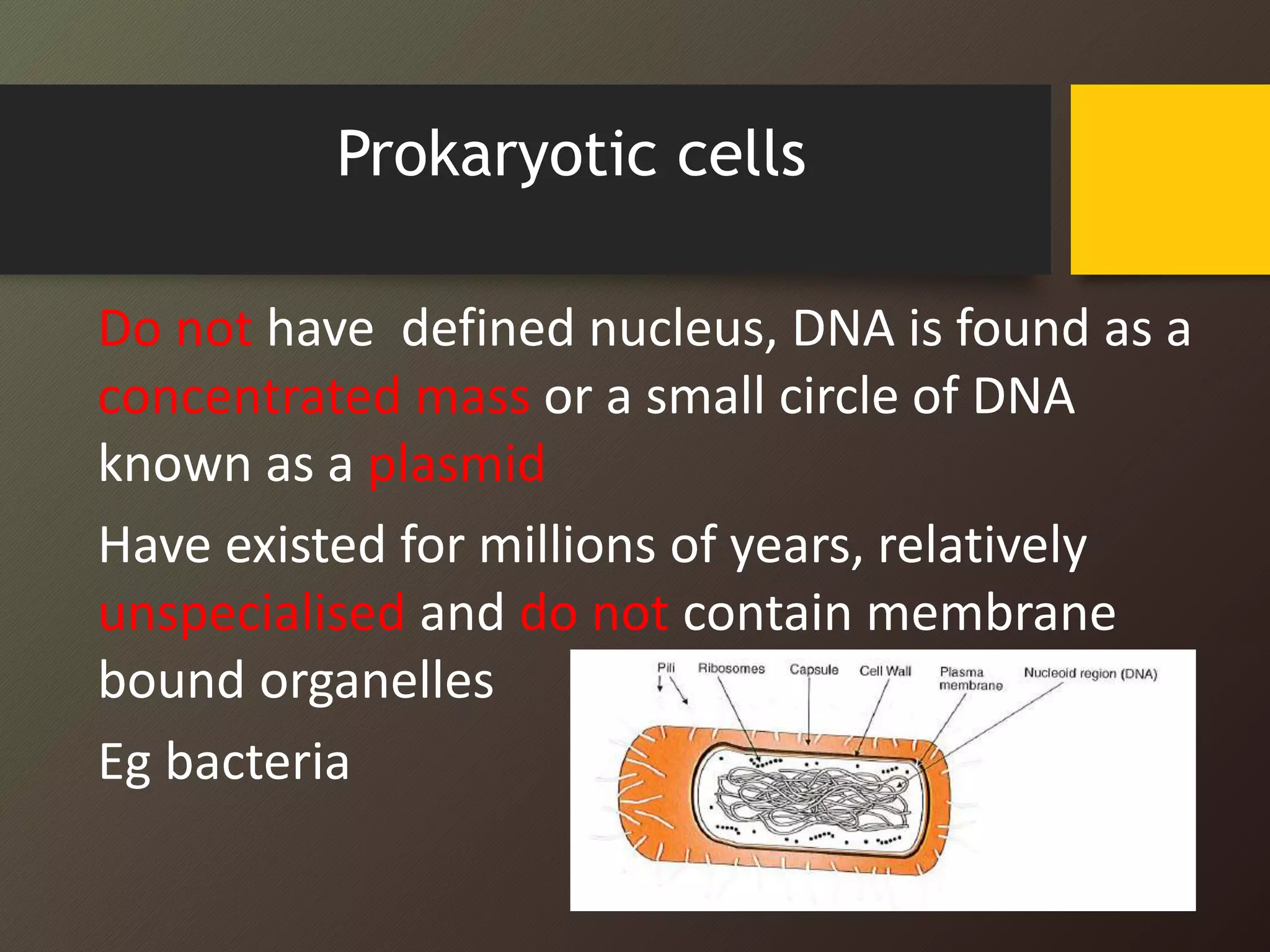 Cell structure & organisation | PPTX