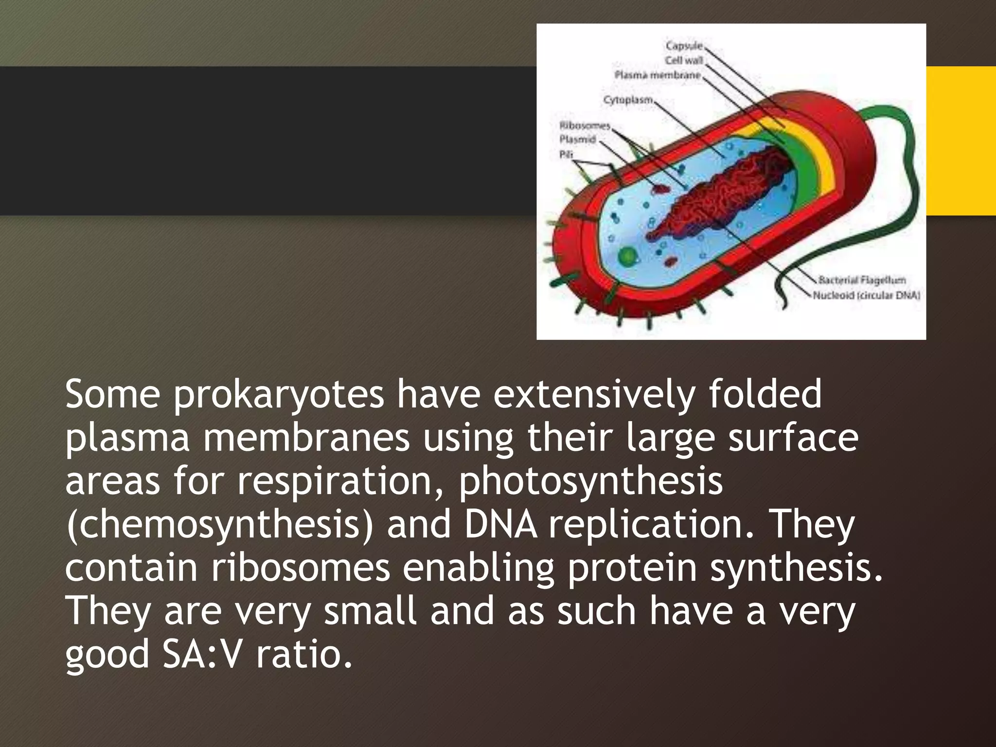 Cell structure & organisation | PPTX