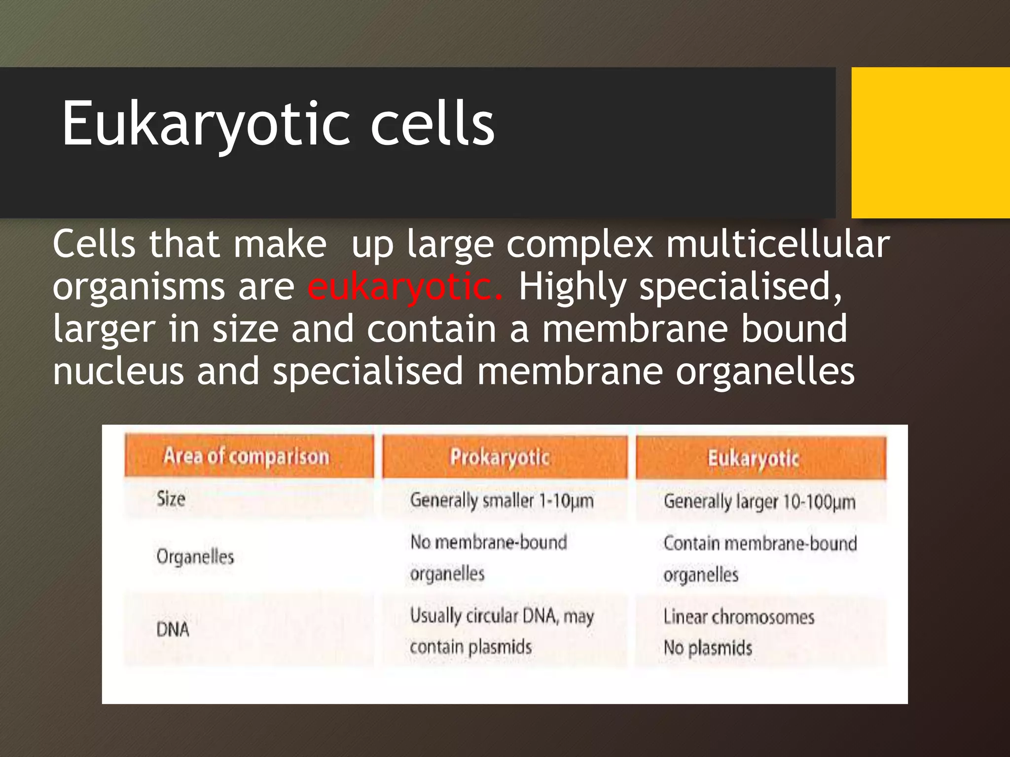 Cell structure & organisation | PPTX