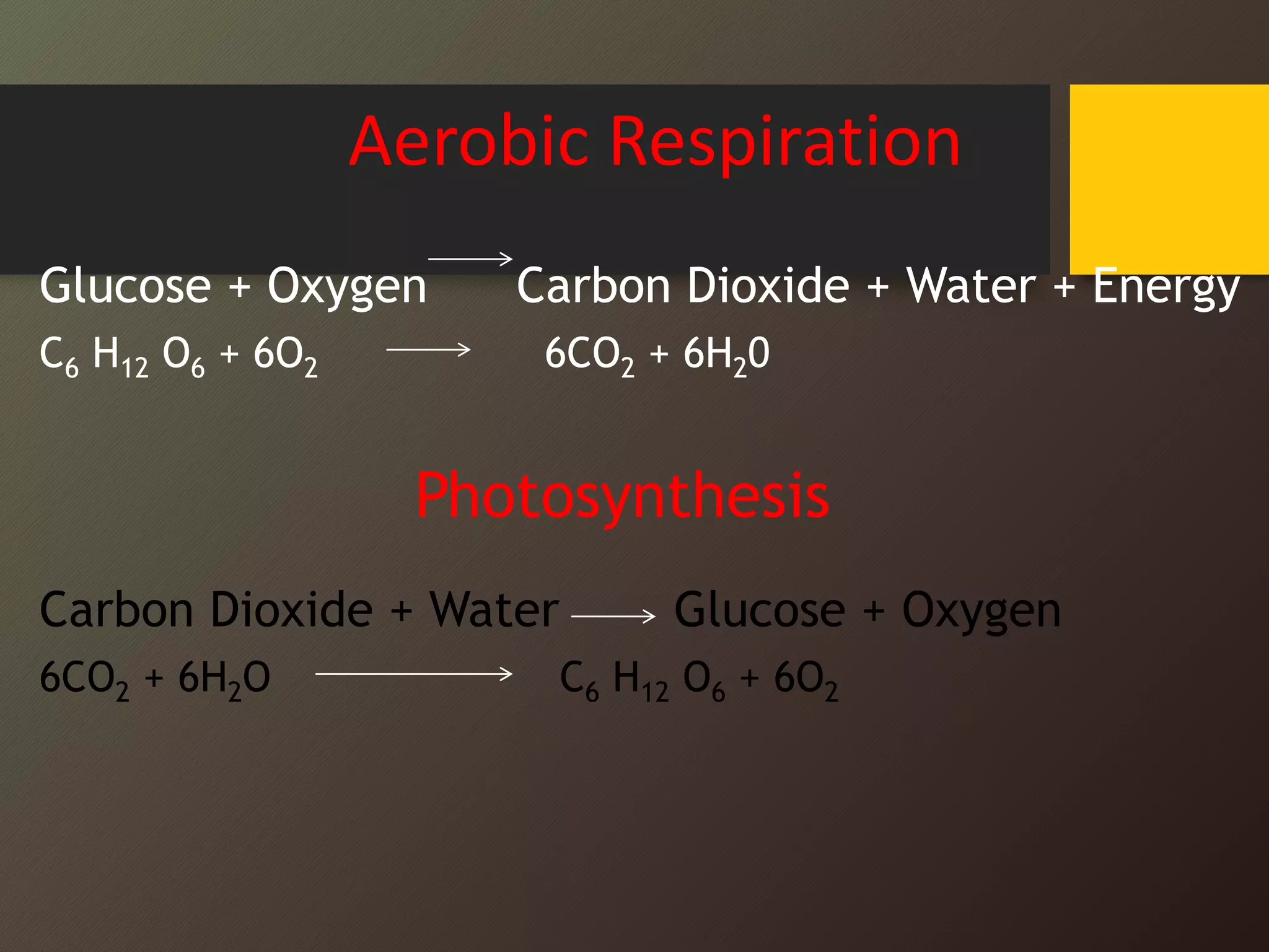 Cell structure & organisation | PPTX