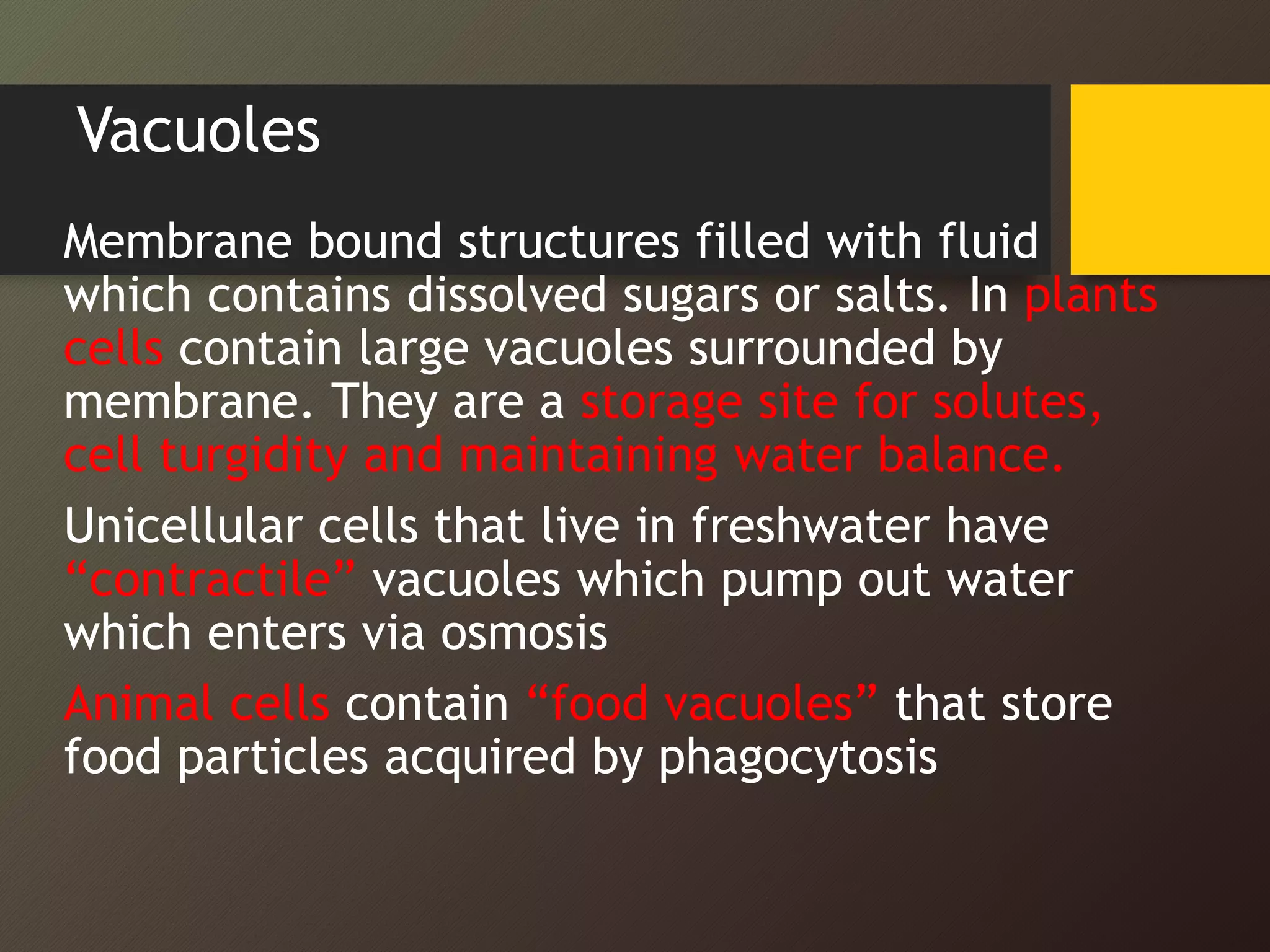 Cell structure & organisation | PPTX